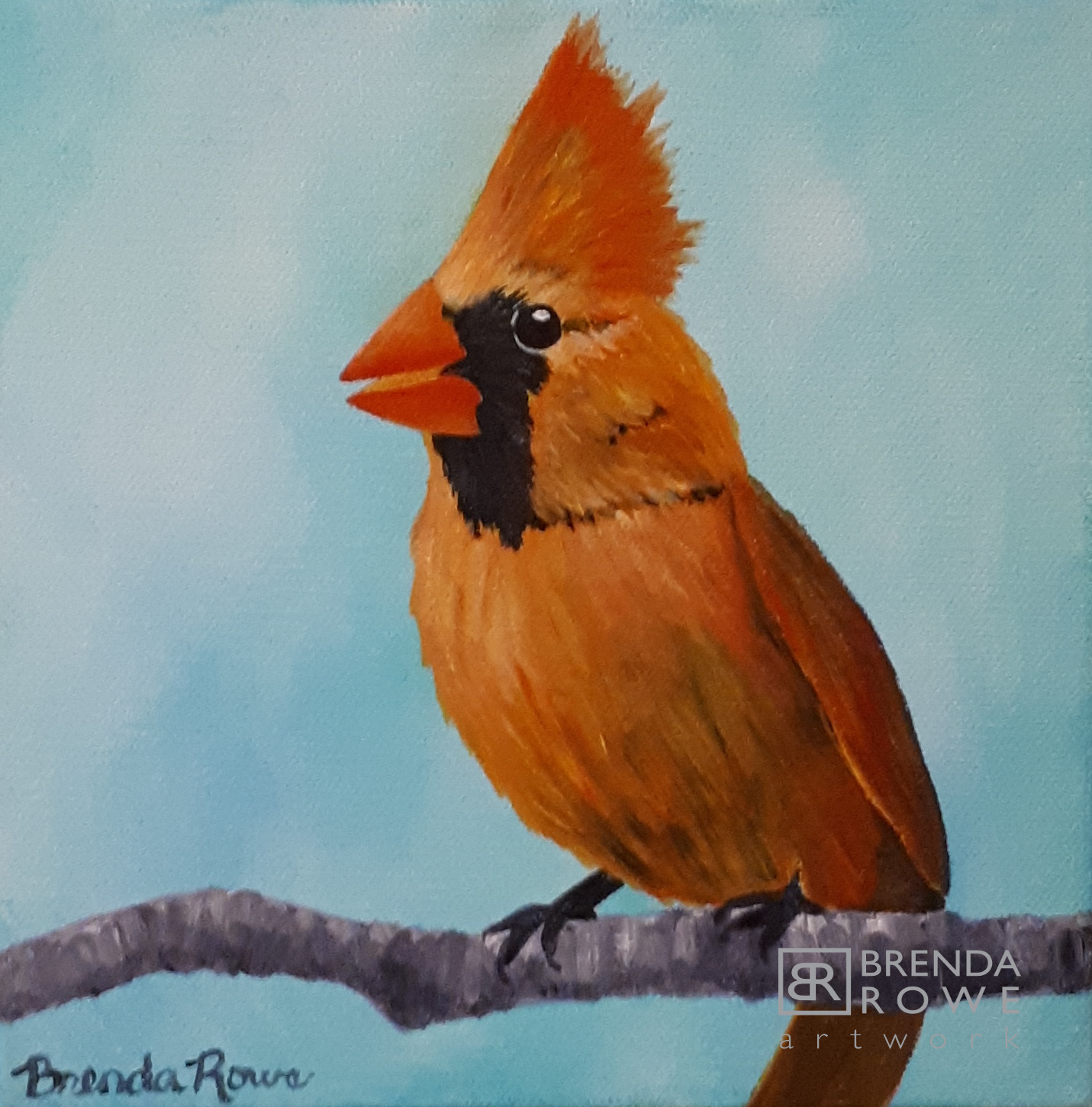 Female Cardinal - Brenda Rowe Artwork
