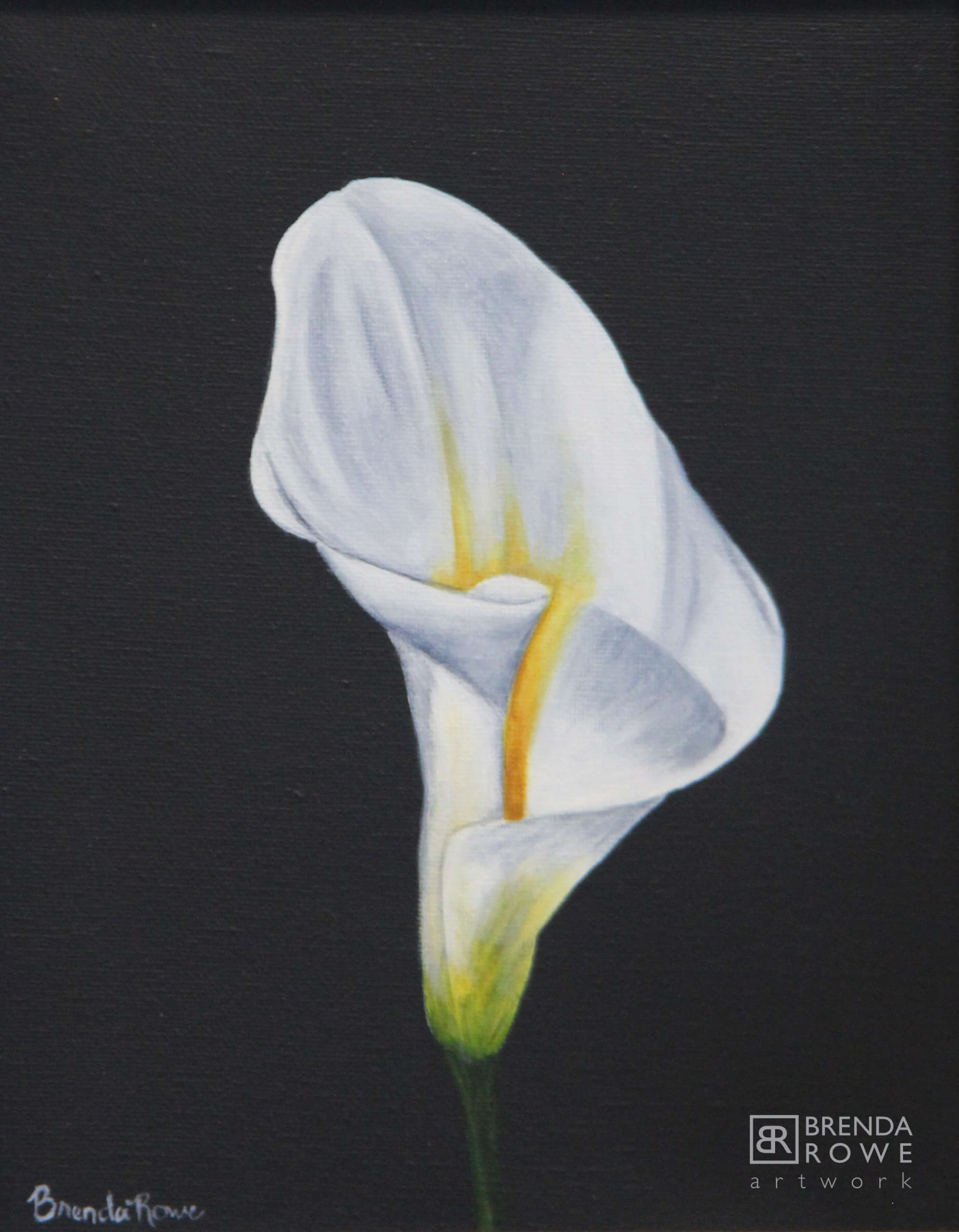 Peace - Brenda Rowe Artwork